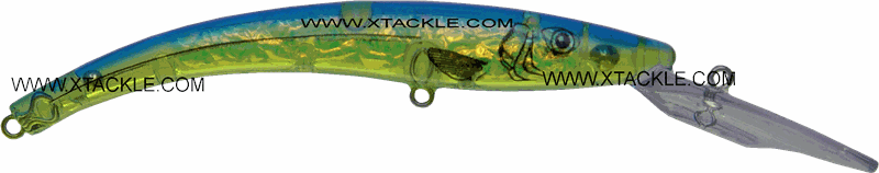 Reef Runner 302 Blue/Chart Back Bare Nake Reef Runner 302 Blue/Chart Back Bare Nake